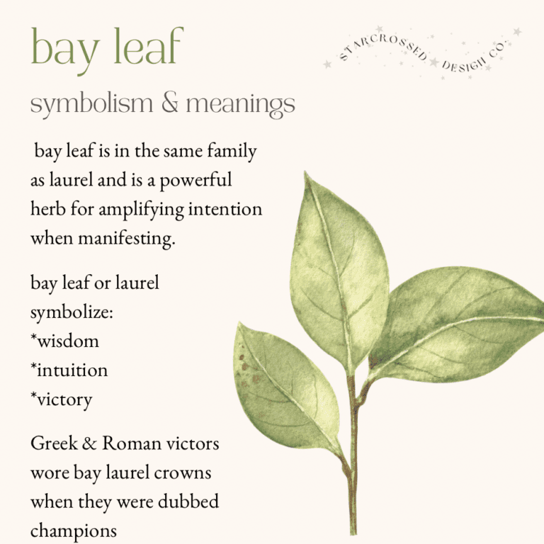The Illuminating Spiritual Meaning of Bay Leaf: A Guide to its ...