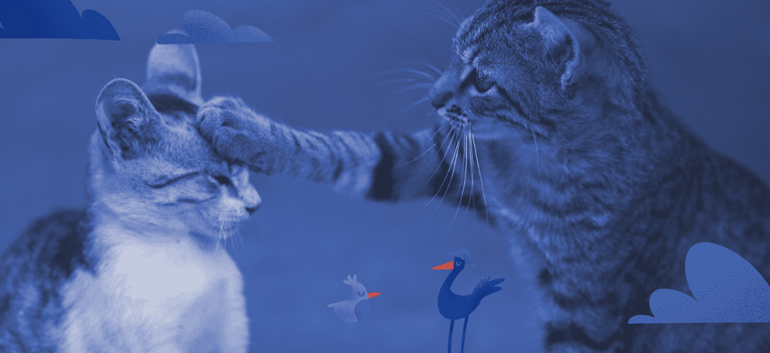 Unveiling the Spiritual Meaning of Dreaming about Cats: A Deep Dive ...