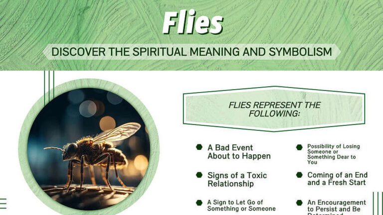 The Spiritual Meaning of Flies Around You: Exploring the Symbolism and ...