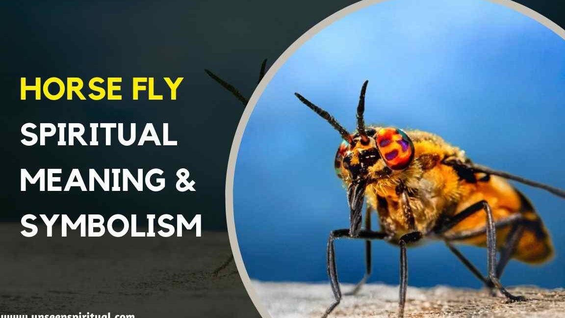 The Spiritual Meaning of Horse Fly: Exploring the Symbolism and Messages