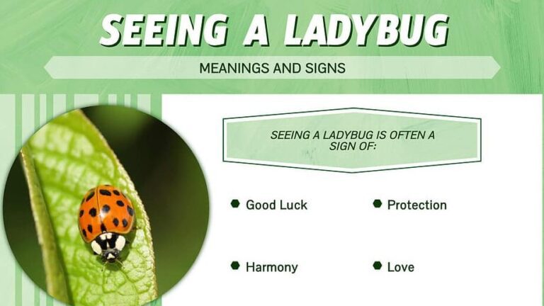 The Spiritual Meaning of the Red Ladybug: Symbolism and Significance