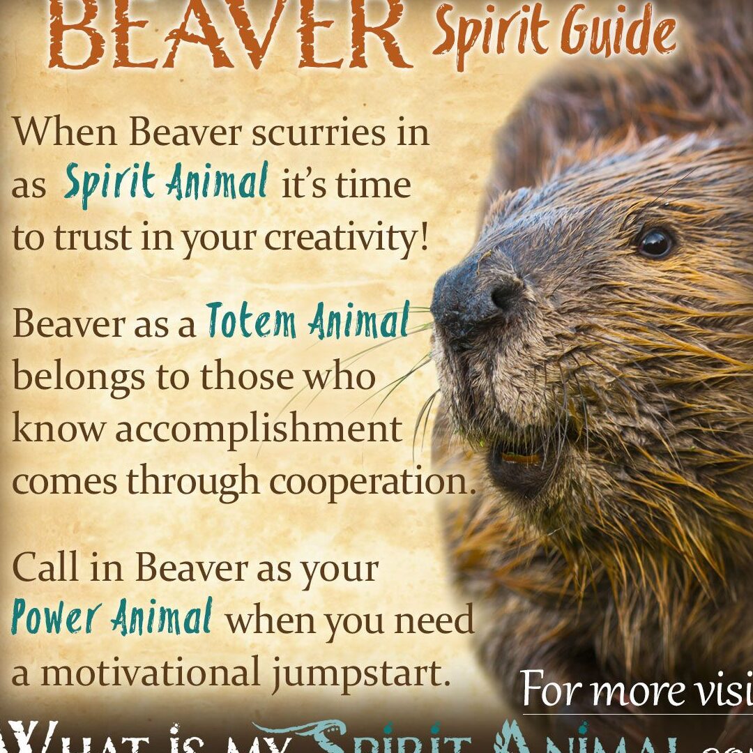 The Spiritual Meaning of Beaver: Unveiling the Symbolism and Wisdom Within