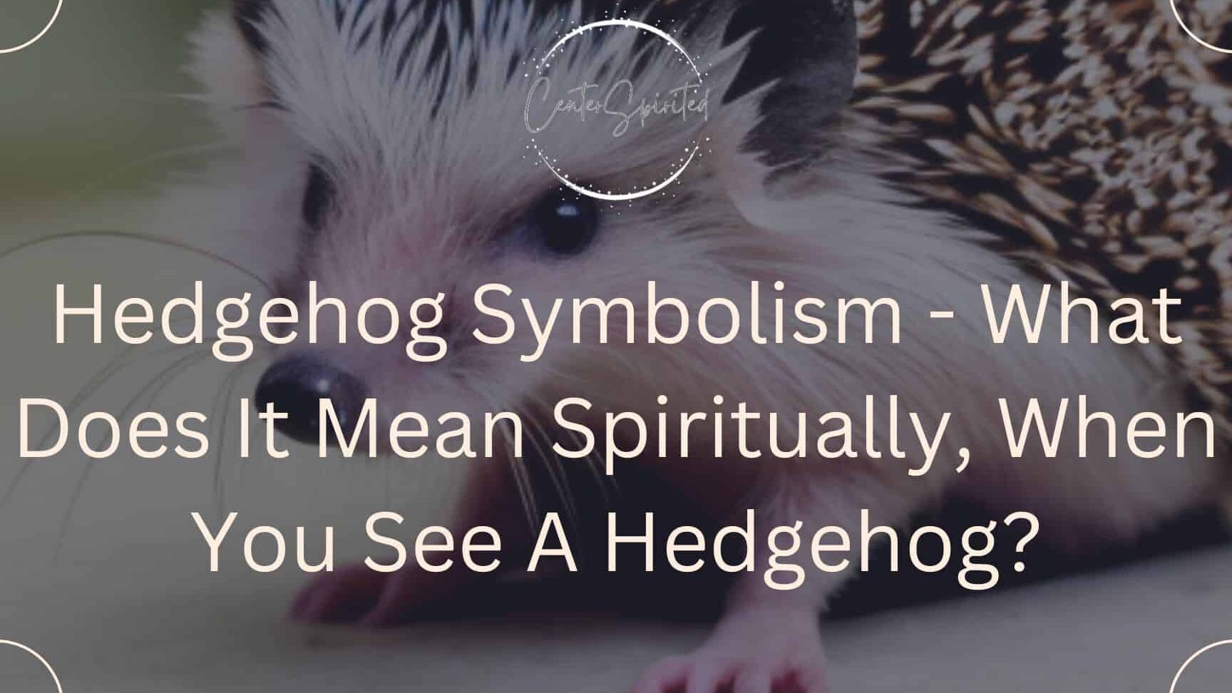 The Spiritual Meaning of Hedgehog: Unveiling Its Symbolism and Divine ...