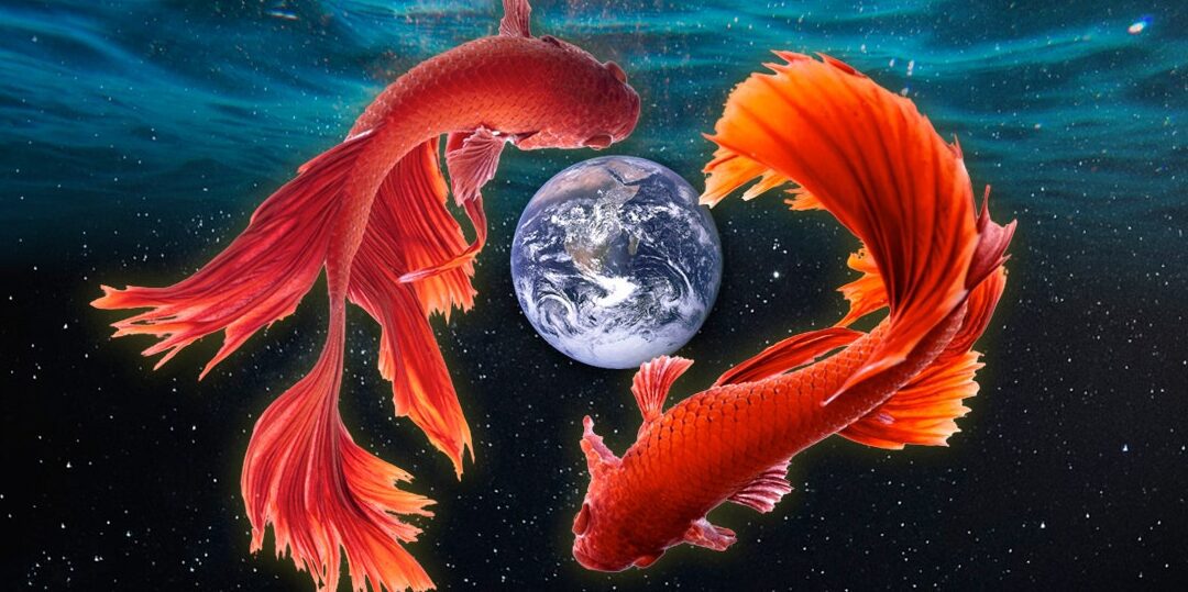 Unveiling the Spiritual Meaning of Craving Fish: A Deep Dive into this ...